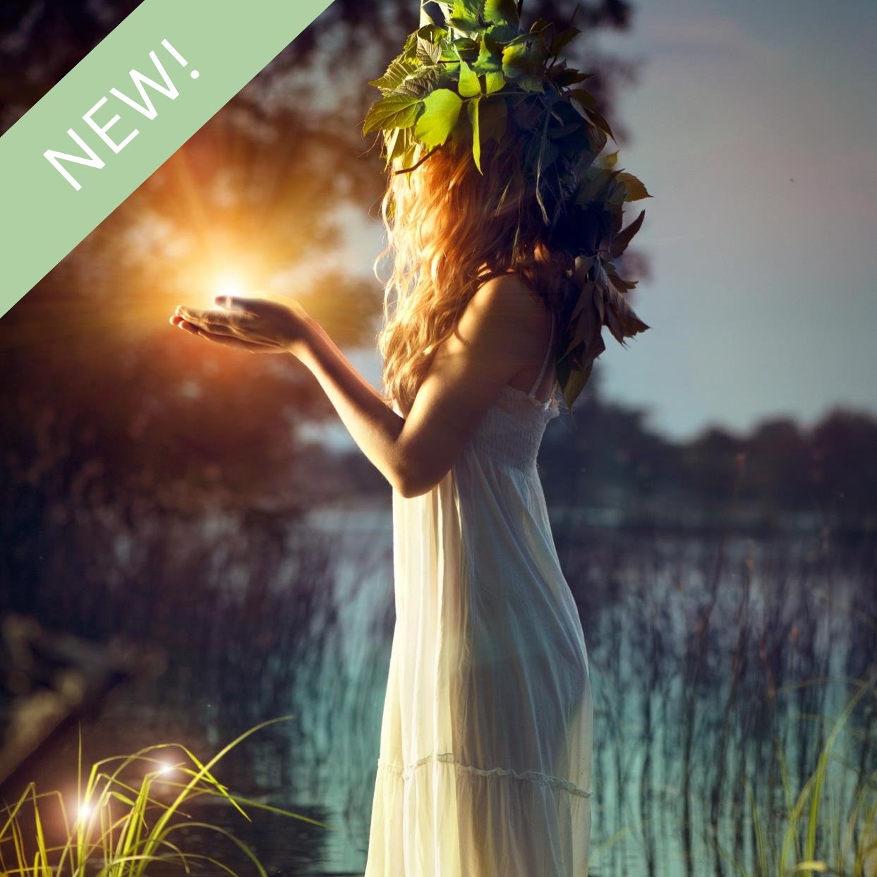 Fairies Of The Shadows Fragrance Oil – Craftastik