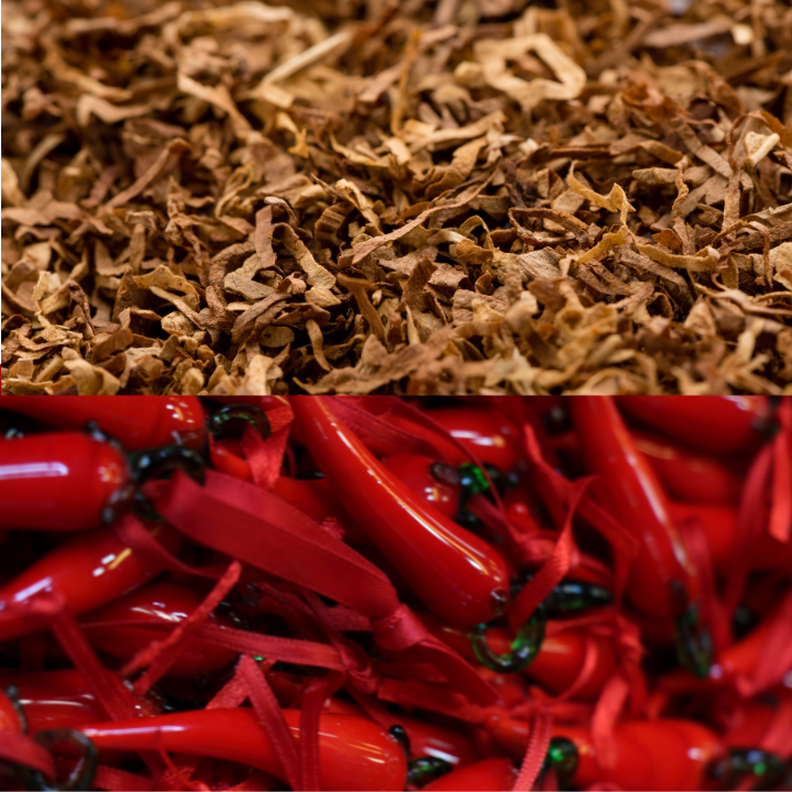 INCANDESCENT TOBACCO & Pimento Fragrance Oil – Craftastik